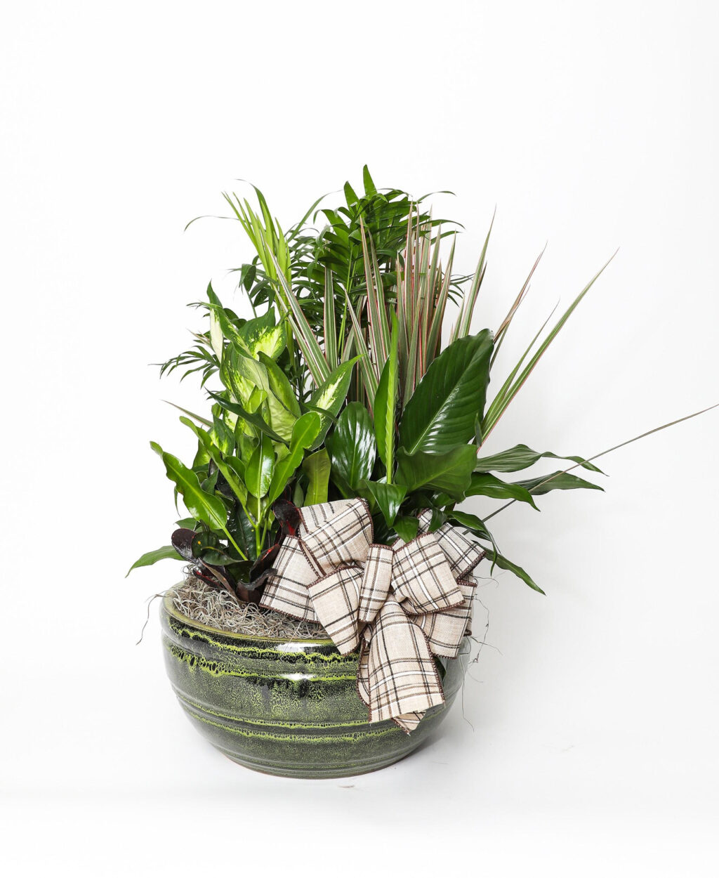 Dish Garden - Greco-Hertnick Funeral Home and Cremation Service - Weirton WV